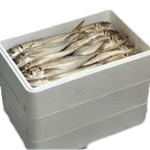 Thermocol Boxes Manufacturer, EPS Thermocol Ice Box- EPACK