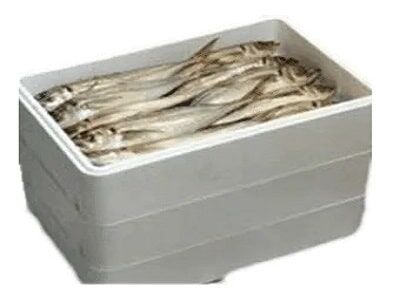 EPS Thermocol Boxes Manufacturer for Fish Packaging - EPACK